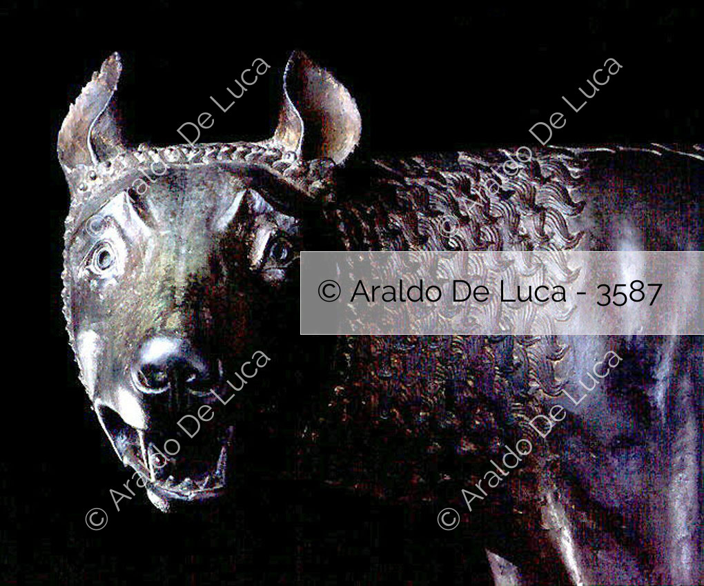 Lupa capitolina - 3587