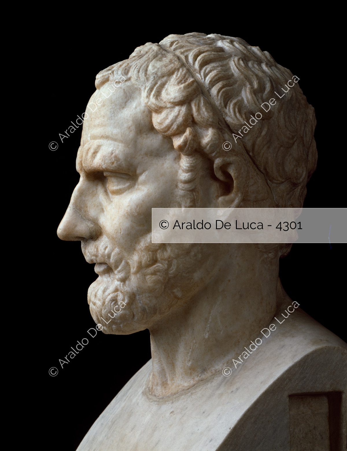 Busto ritratto di Demostene - 4301