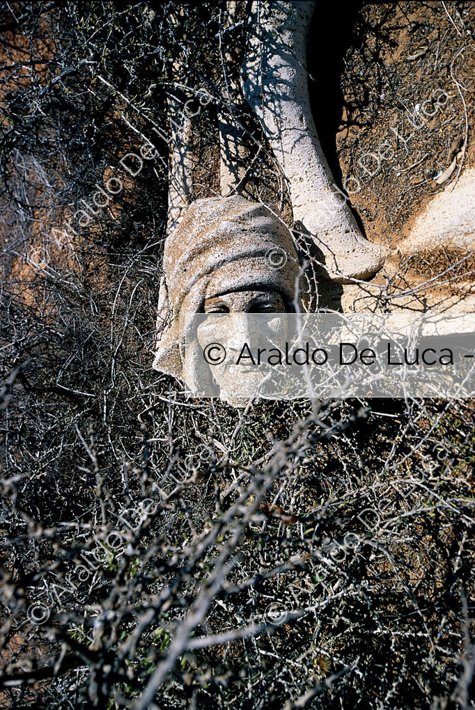 Frammento di rilievo dall,arco dei Fileni - 40612