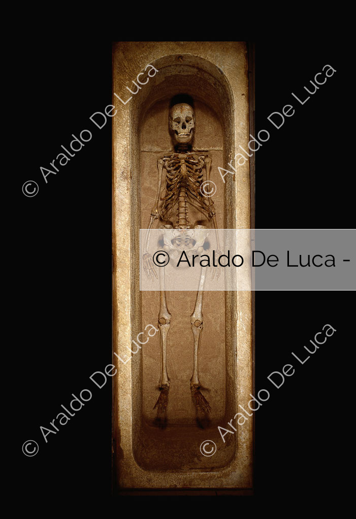 Sarcofago con scheletro di Crepereia Tryphaena - 7442